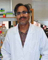 College of Ag Awarded $1.8M in Capacity Building Grants | Delaware State