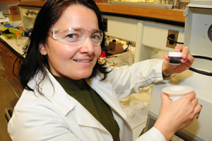 DSU Chemistry Dept. Receives $326,138 Federal Research Grant | Delaware ...